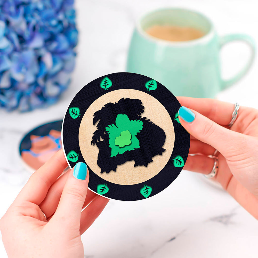 Bulbasaur Evolution Pokemon Ceramic Drink Coasters